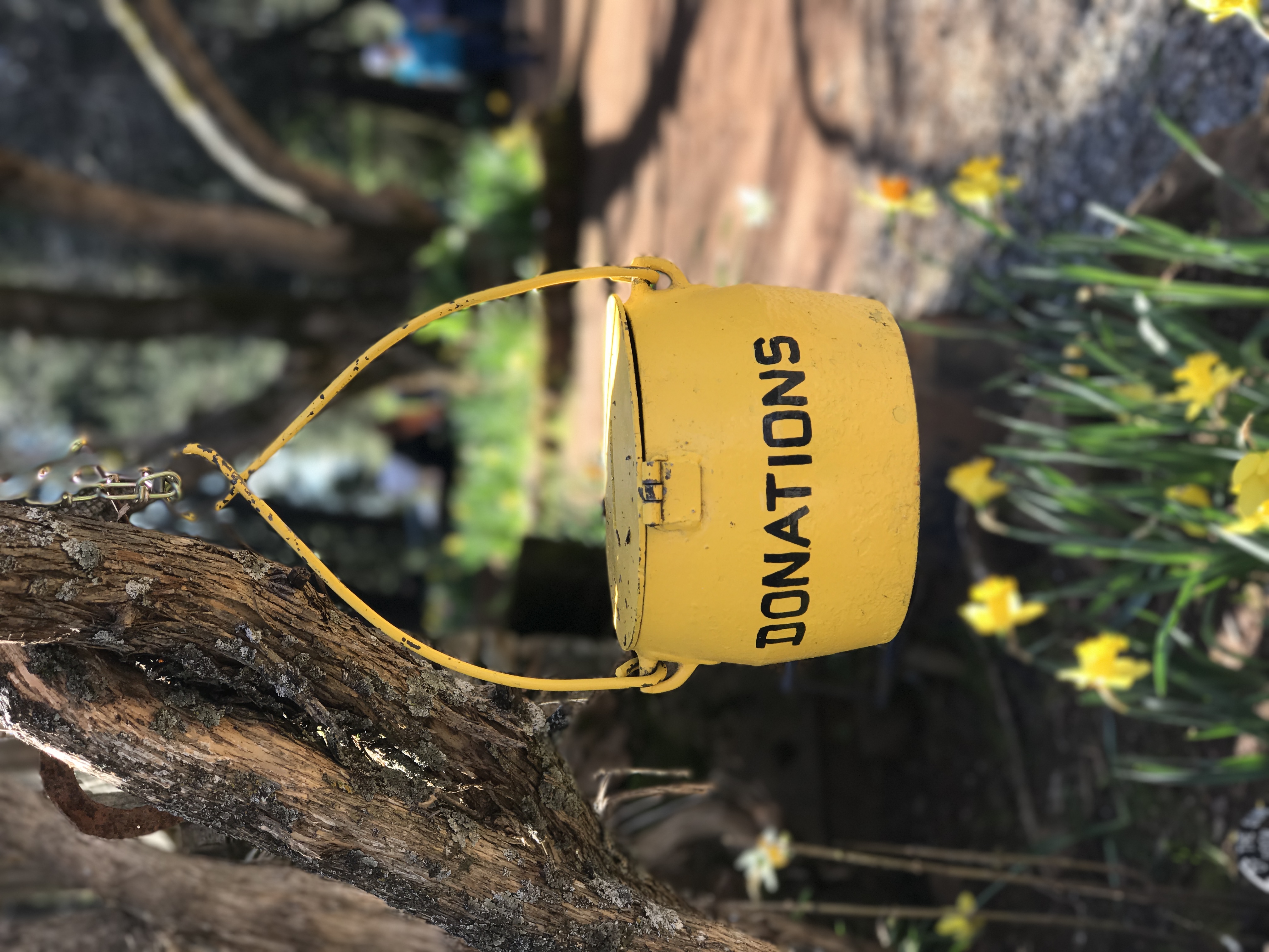 WordPress photo 37661d85c9 | WordPress.org