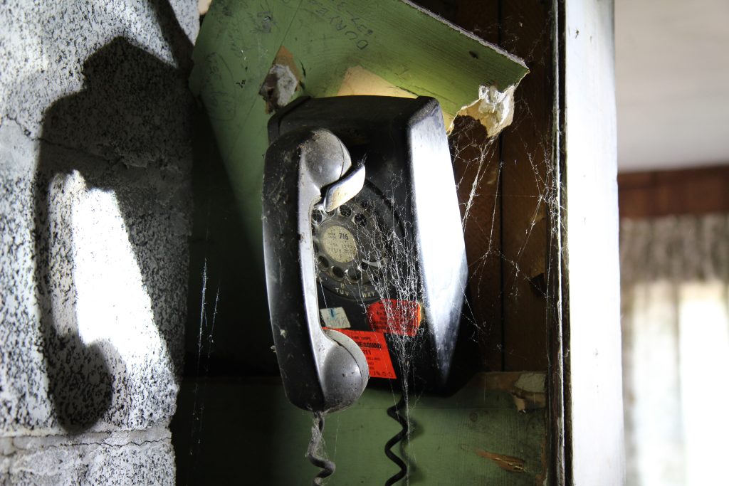 WordPress photo 13361f9bc8 | WordPress.org