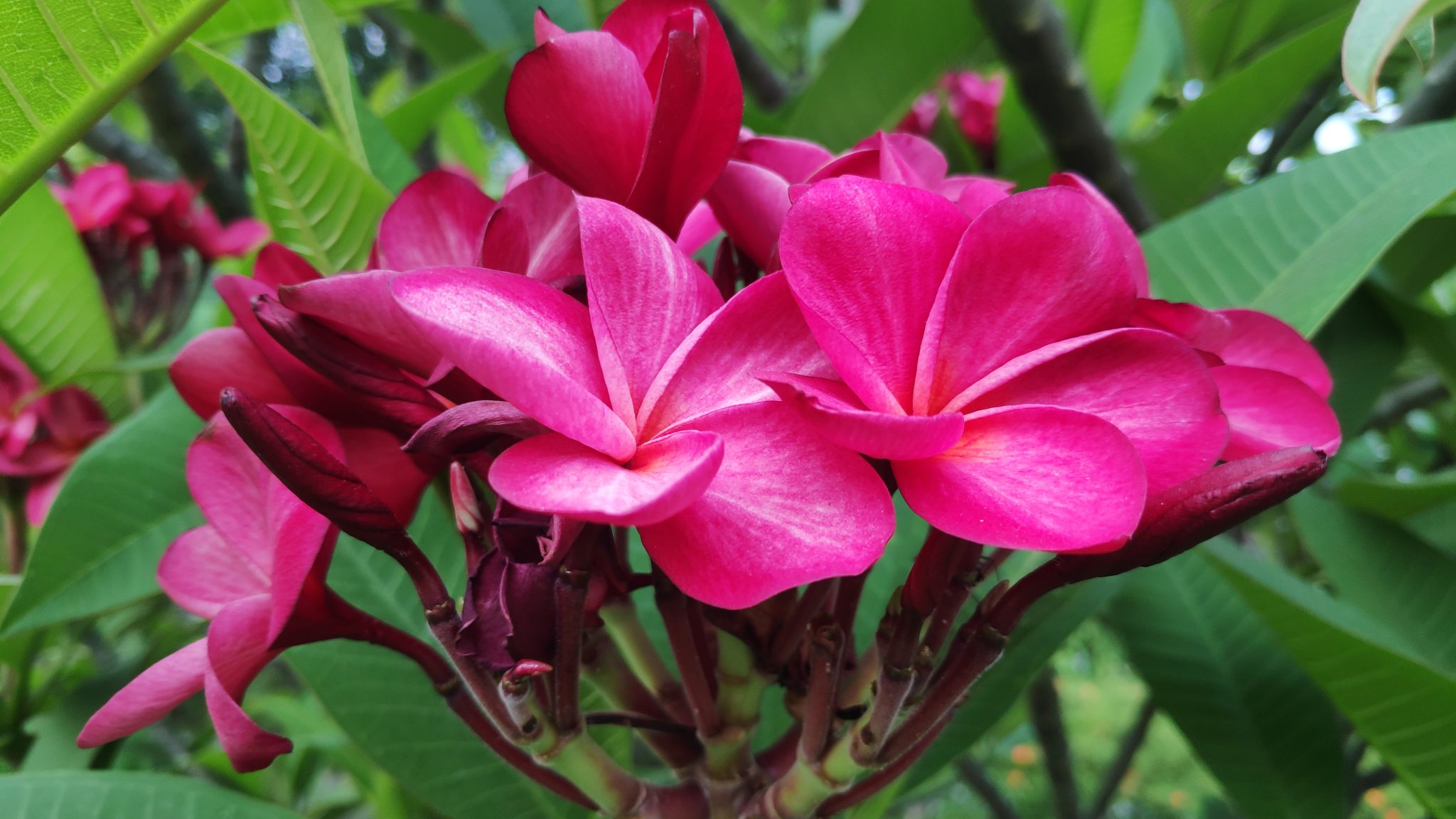 WordPress photo 36627d204a | WordPress.org