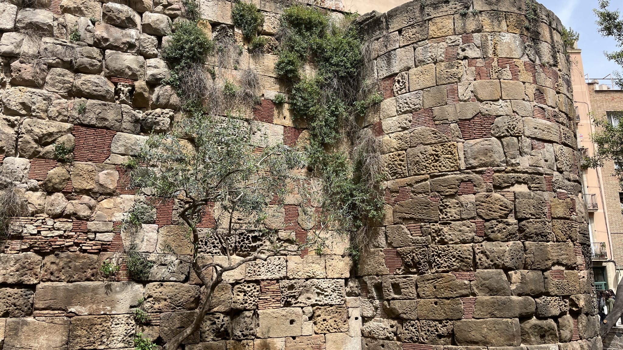 WordPress photo 752628385b | WordPress.org