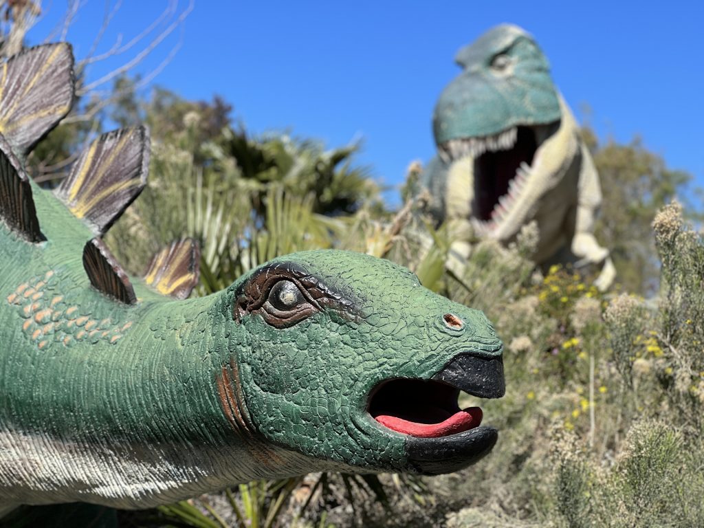 WordPress photo 5746302b5a | WordPress.org