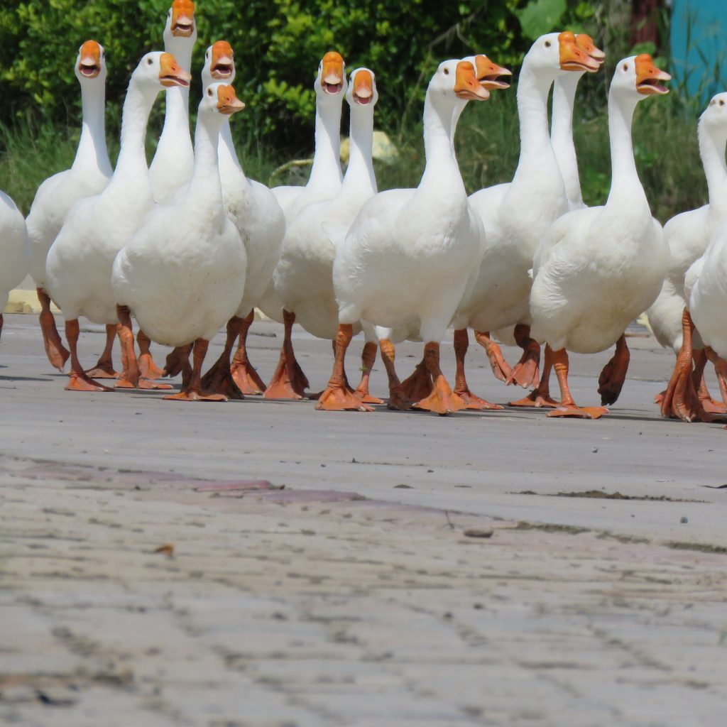 6836329411 – WordPress photo | WordPress.org Photo Directory