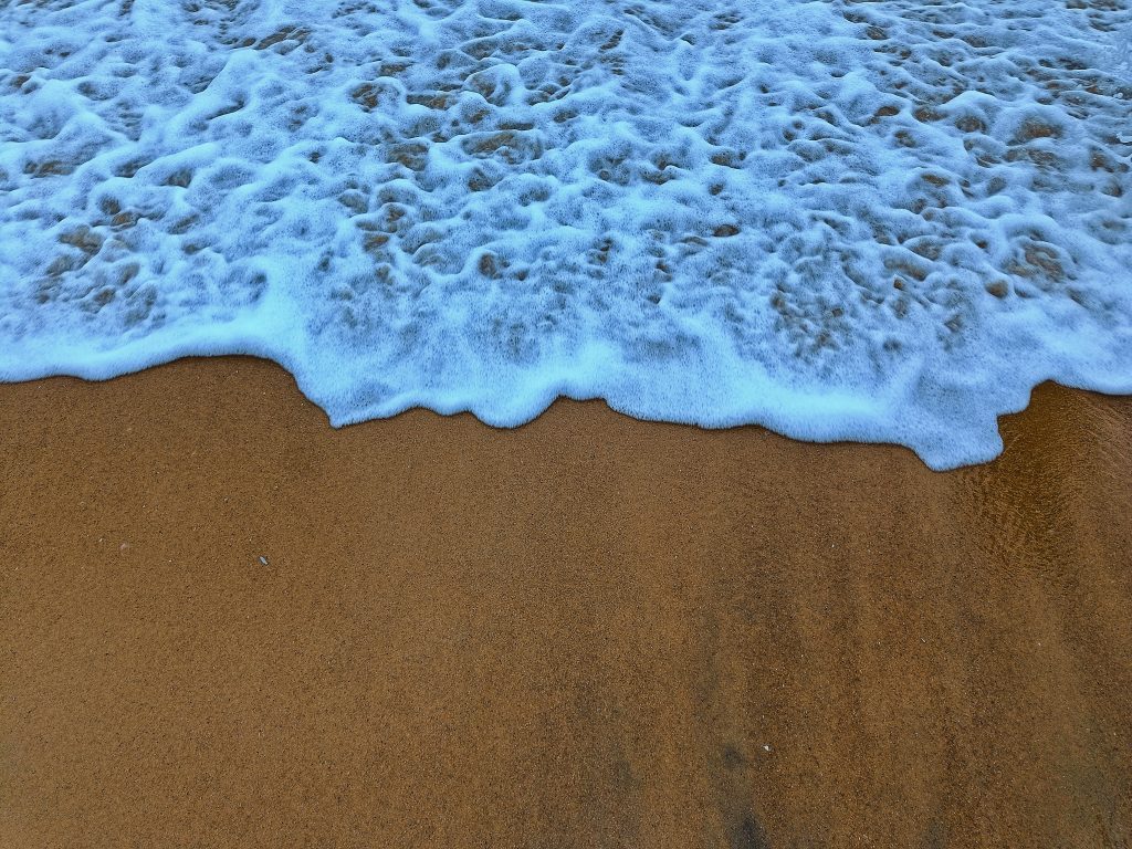 WordPress photo 57663ad856 | WordPress.org