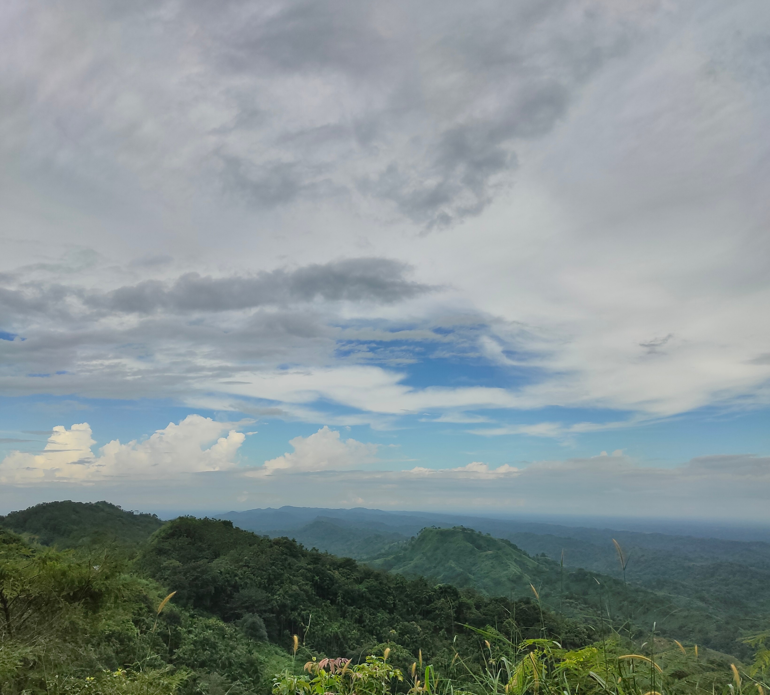 31963ce15d – WordPress photo | WordPress.org Photo Directory