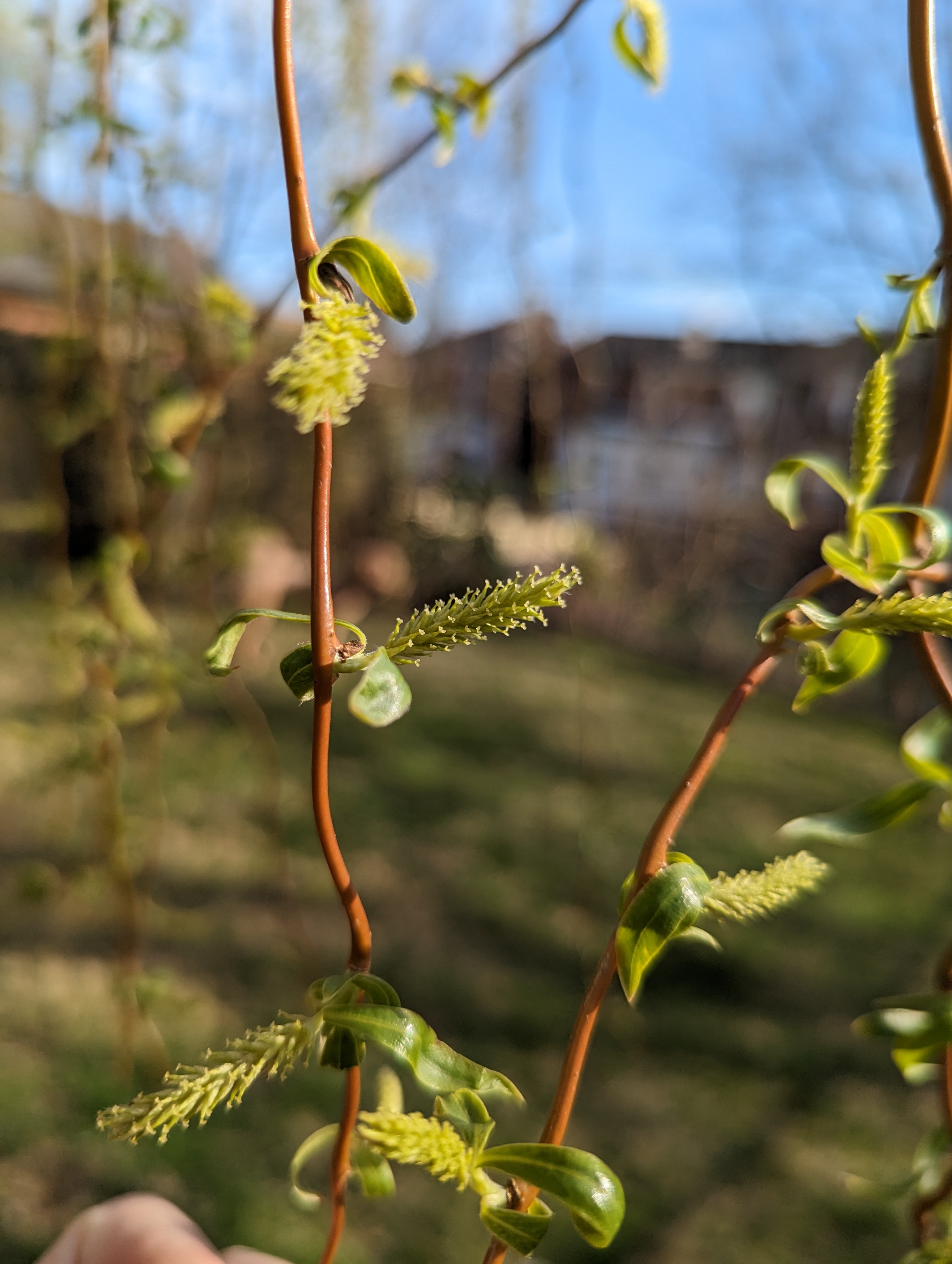 401642eb65 – WordPress photo | WordPress.org Photo Directory