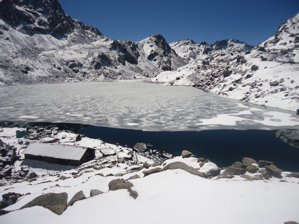 WordPress photo 838648ac12 | WordPress.org