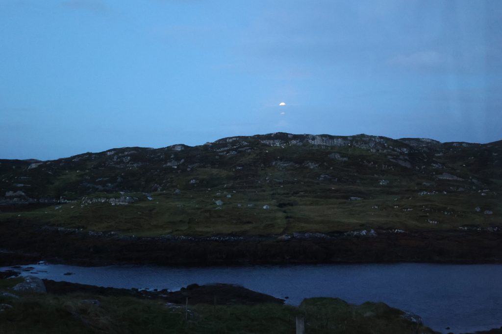 92664bfc7e – WordPress photo | WordPress.org Photo Directory