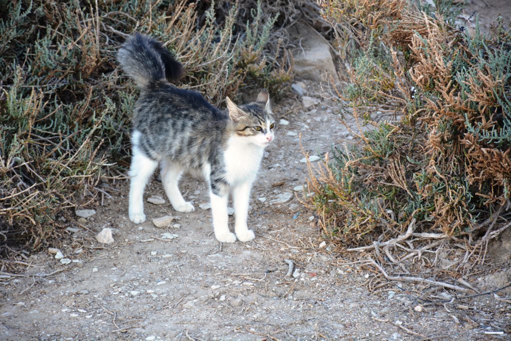 5106501e06 – WordPress photo | WordPress.org Photo Directory