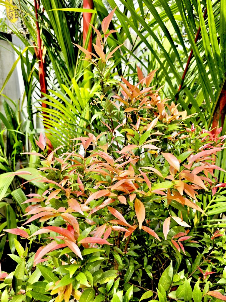 8676515aab – WordPress photo | WordPress.org Photo Directory