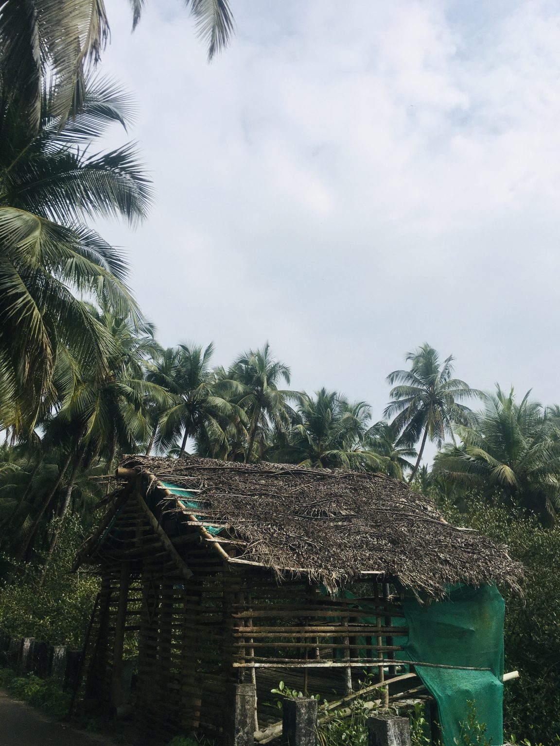 WordPress photo 3146559c8b | WordPress.org