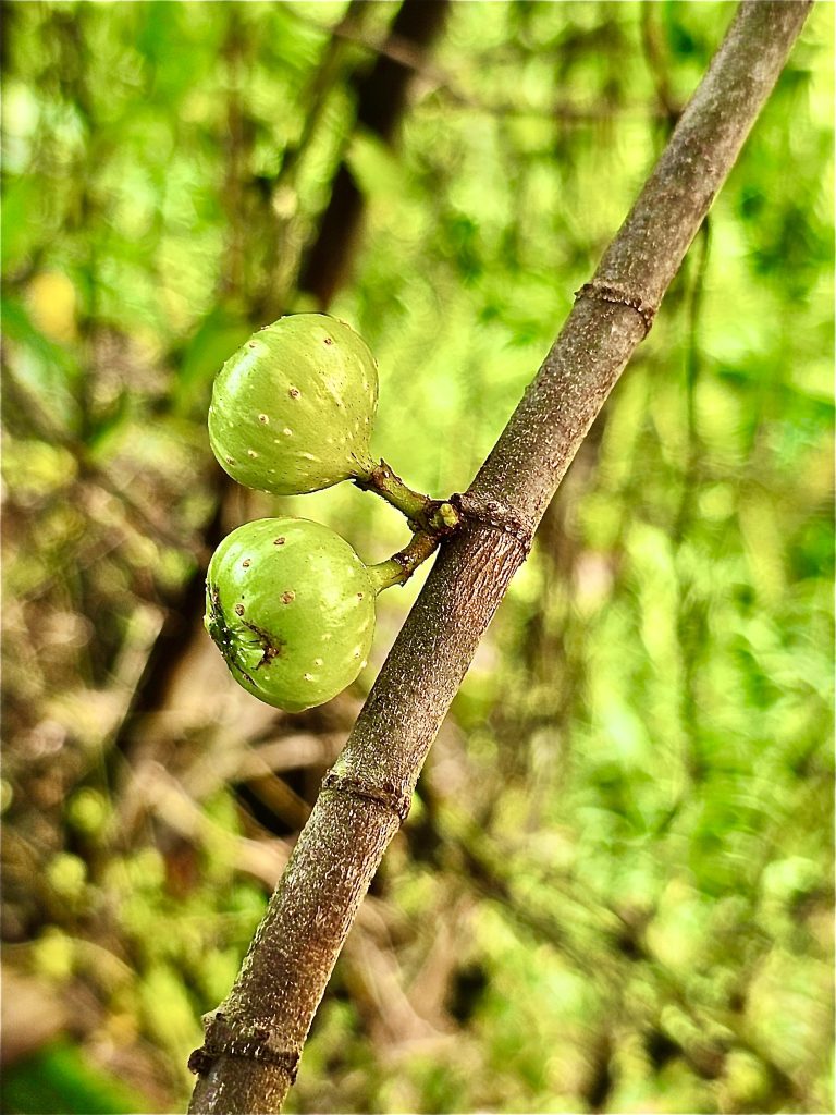 WordPress photo 943655c5ff | WordPress.org