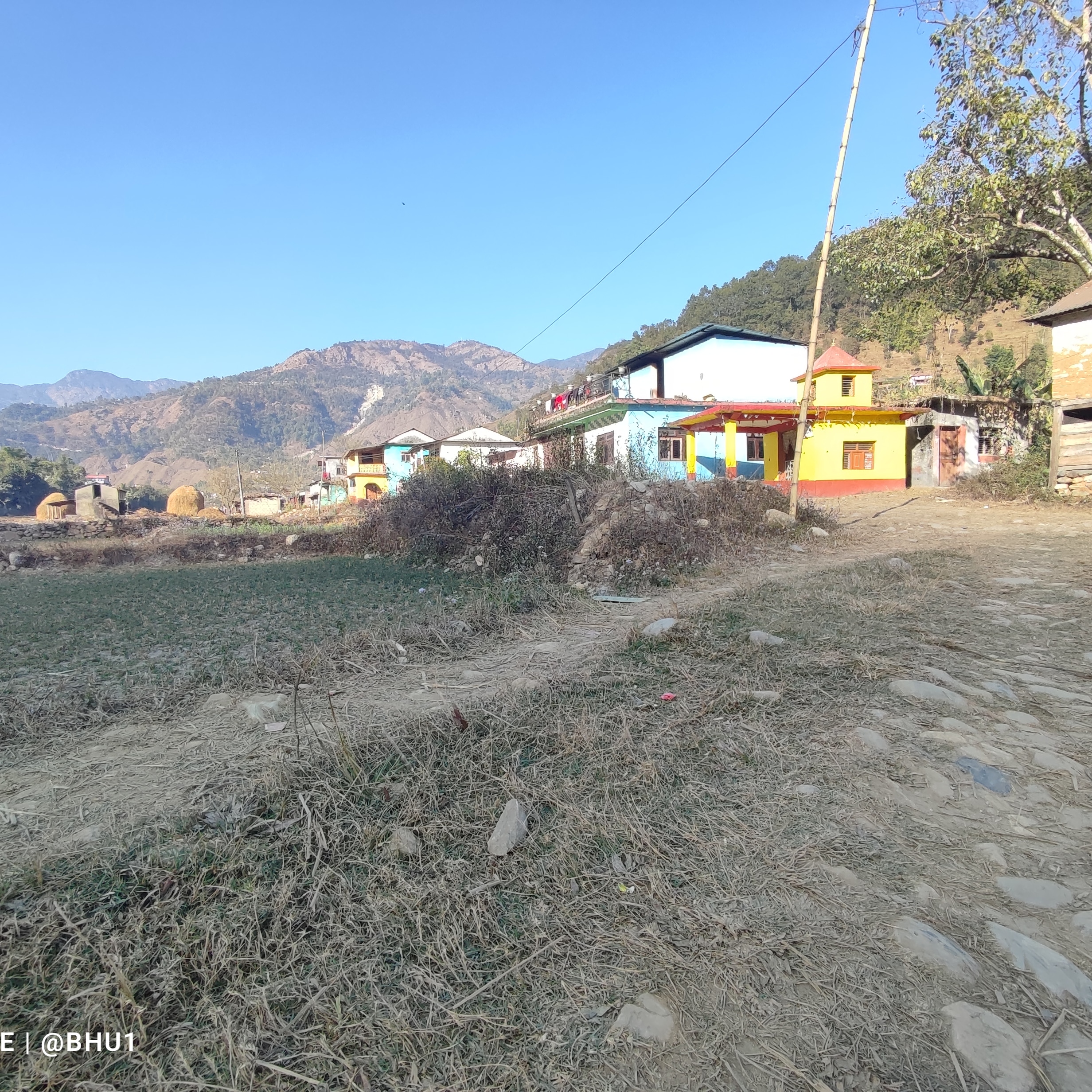 WordPress photo 3396589a5f | WordPress.org