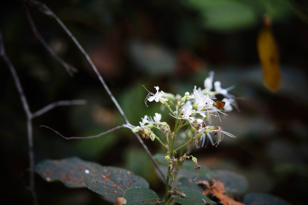 366659a3bf – WordPress photo | WordPress.org Photo Directory