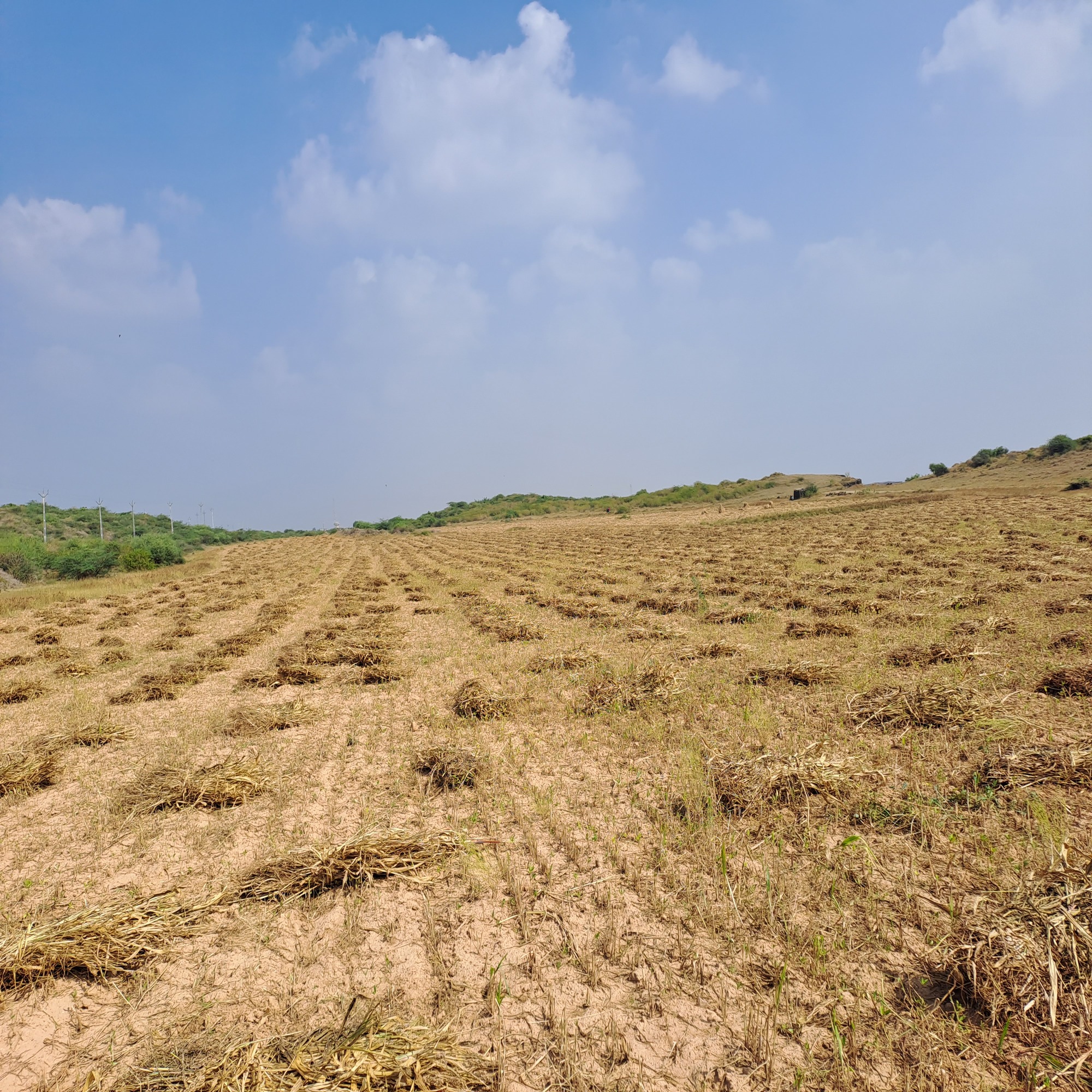 WordPress photo 26467850e4 | WordPress.org