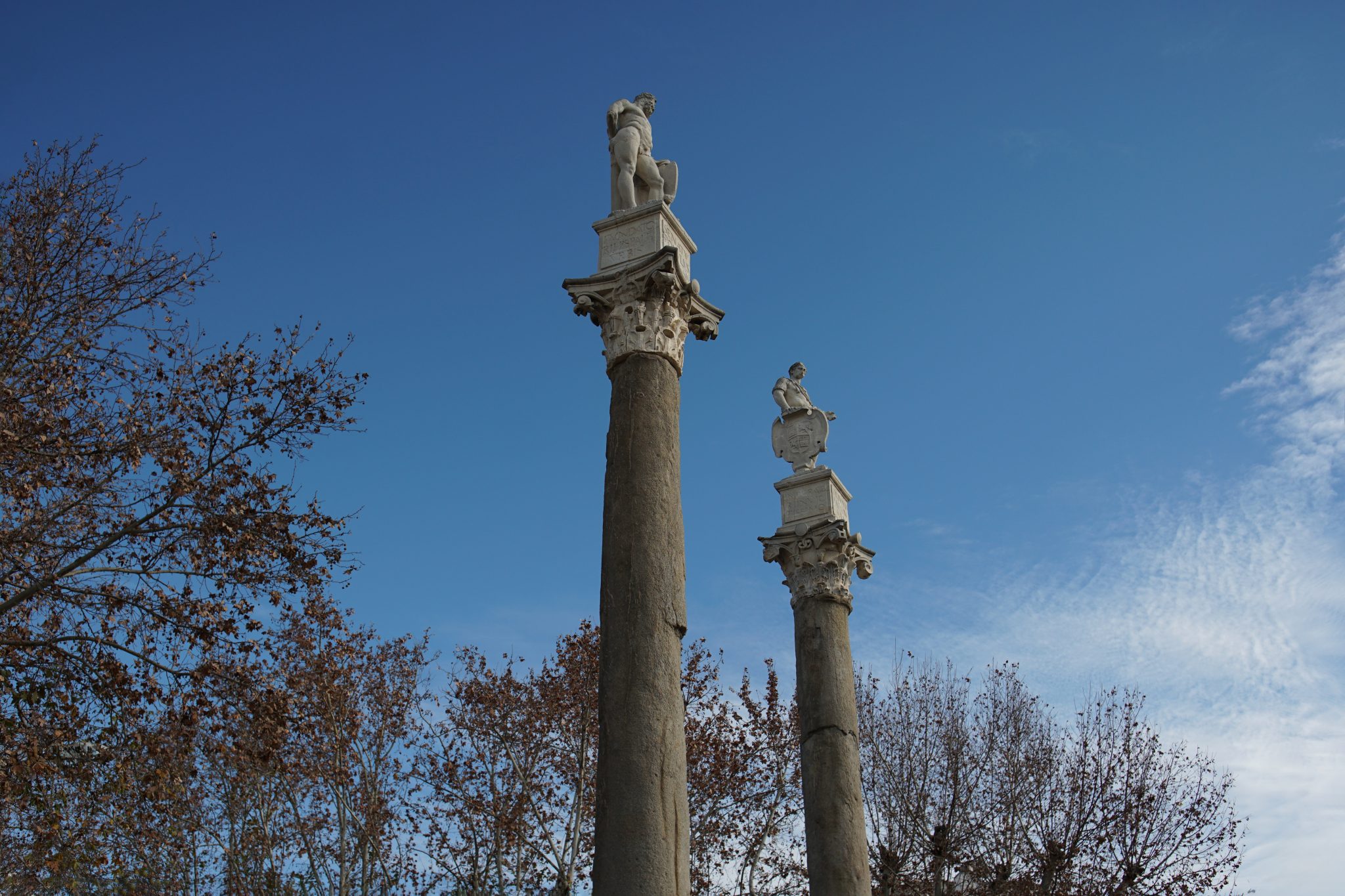 WordPress photo 64678cf32e | WordPress.org