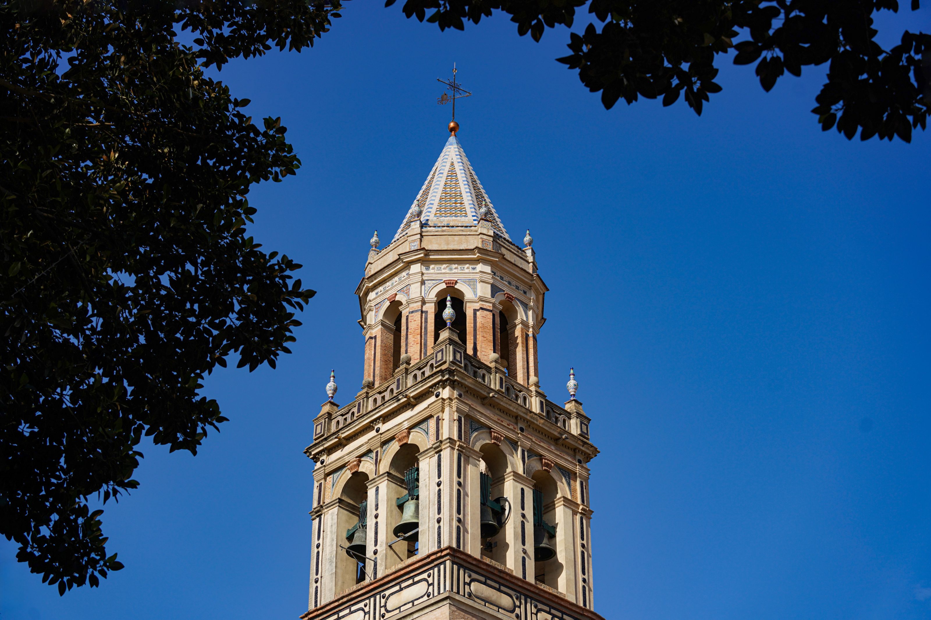 WordPress photo 6926797feb | WordPress.org