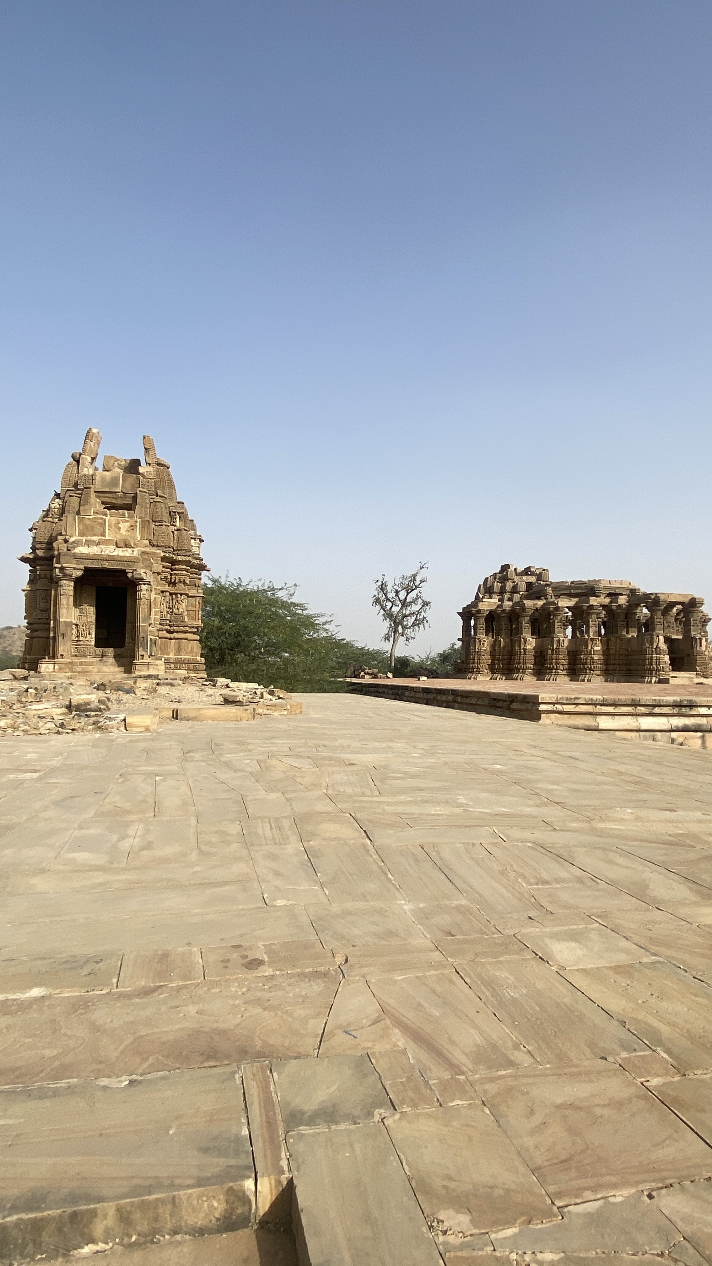 WordPress photo 62467e8bfa | WordPress.org