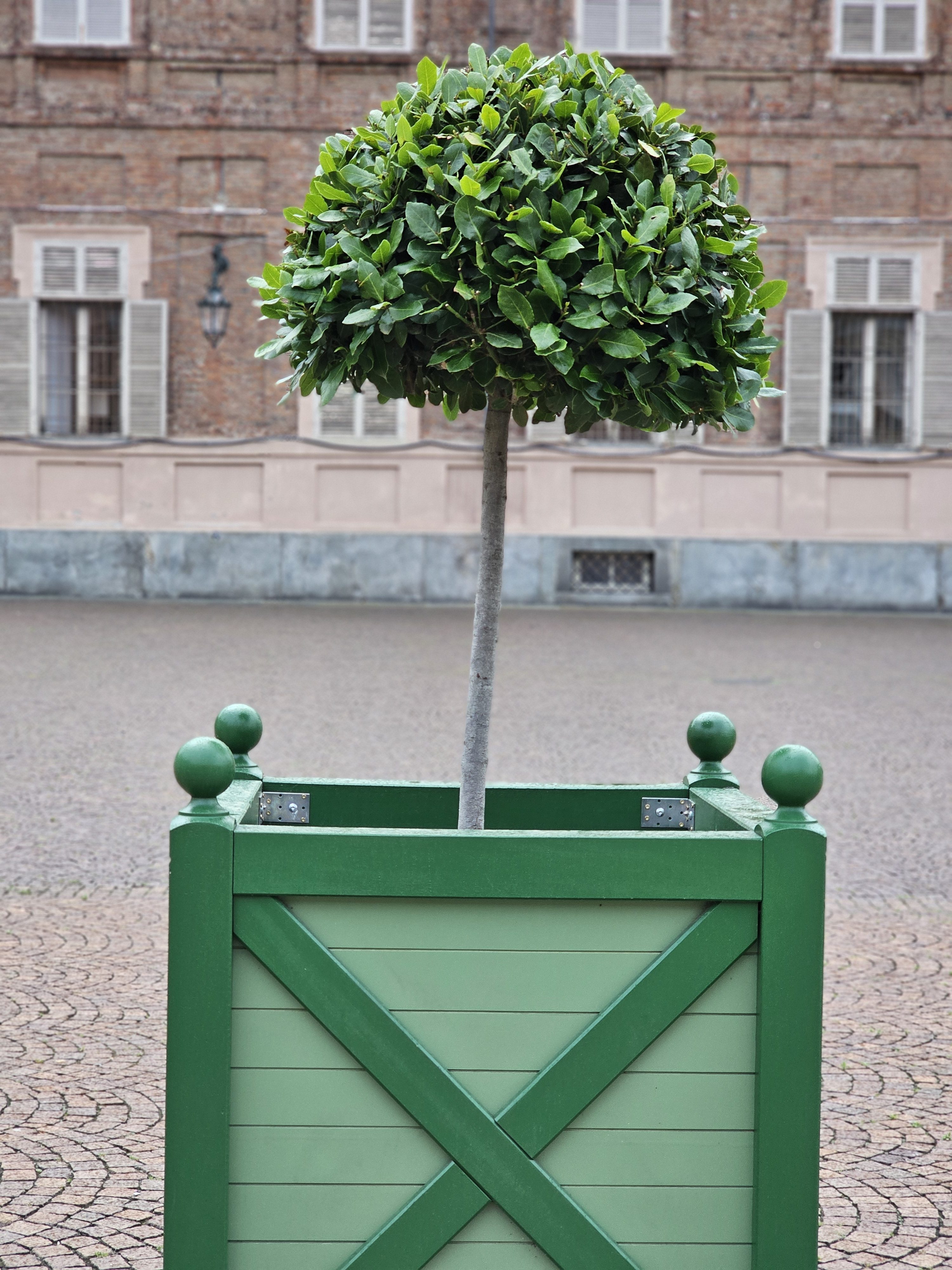 WordPress photo 74067d80de | WordPress.org