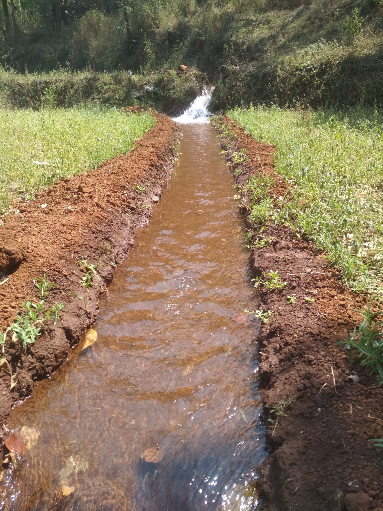 WordPress photo 8967e91c7f | WordPress.org