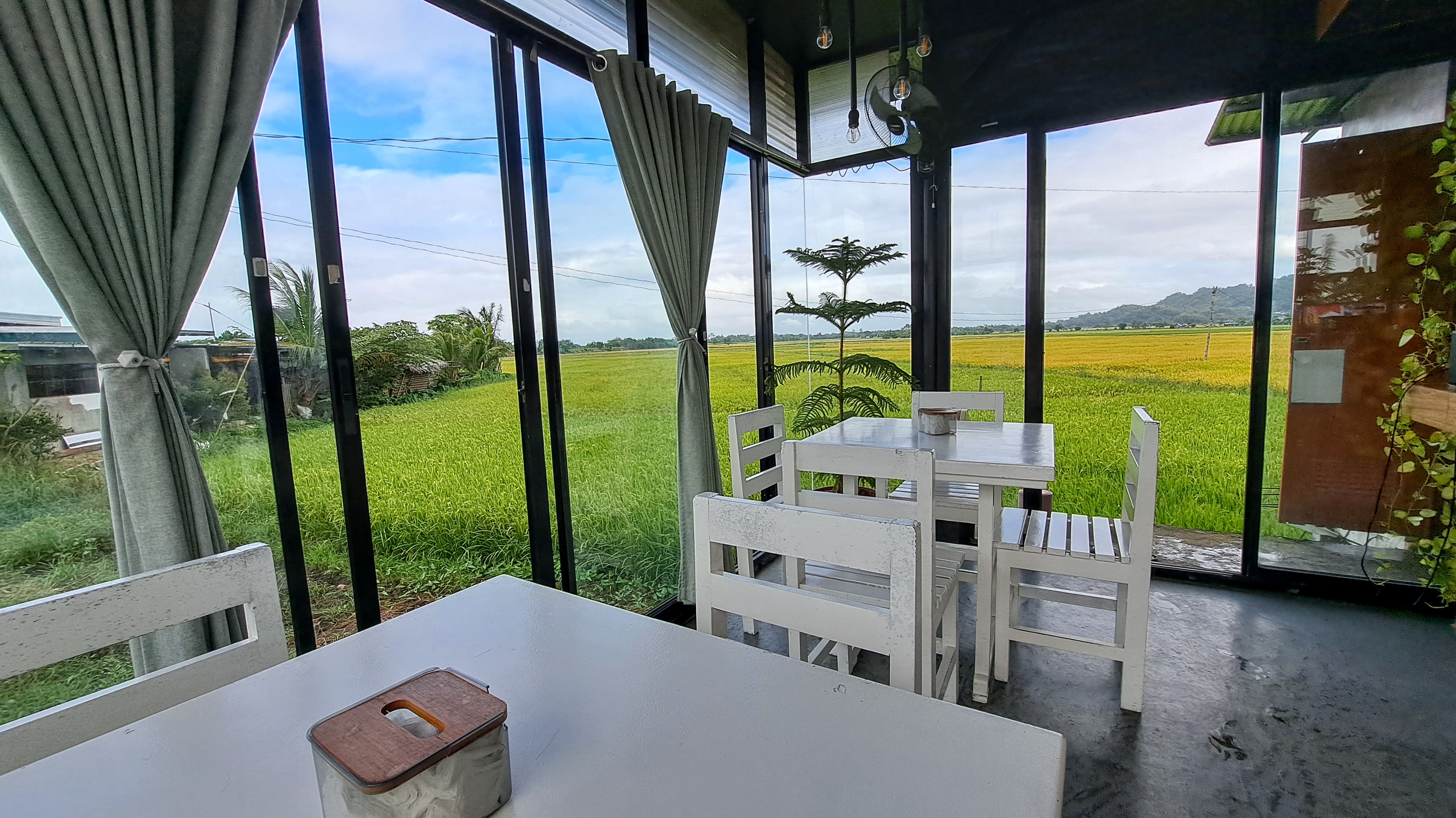 WordPress photo 75968083d2 | WordPress.org