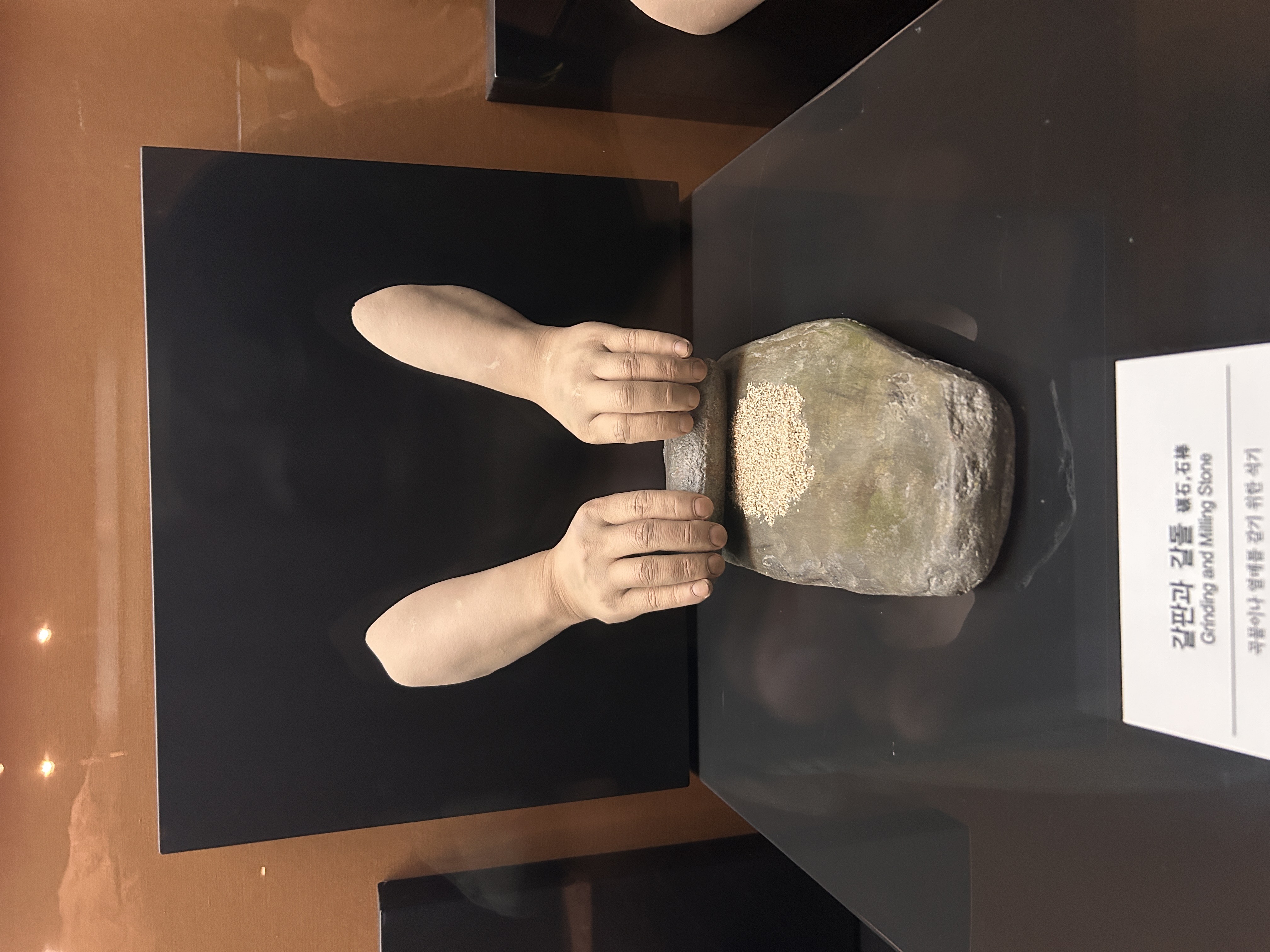 WordPress photo 1986814705 | WordPress.org