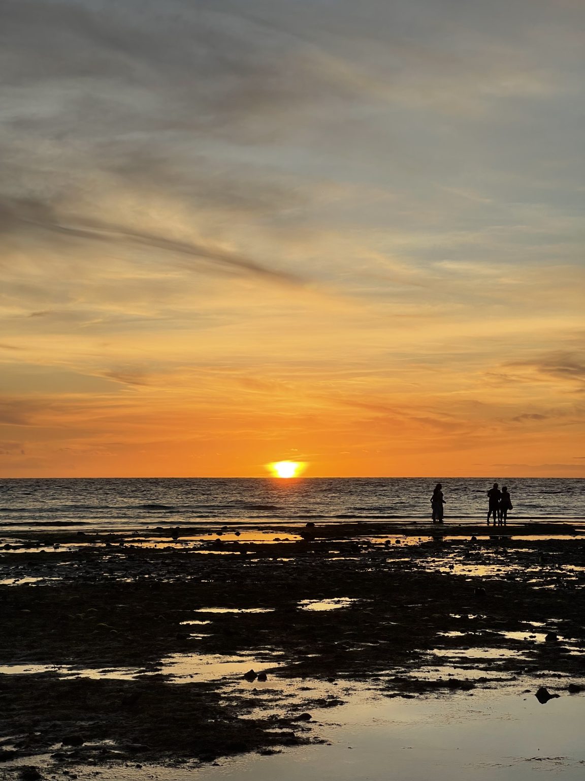 WordPress photo 5136833440 | WordPress.org