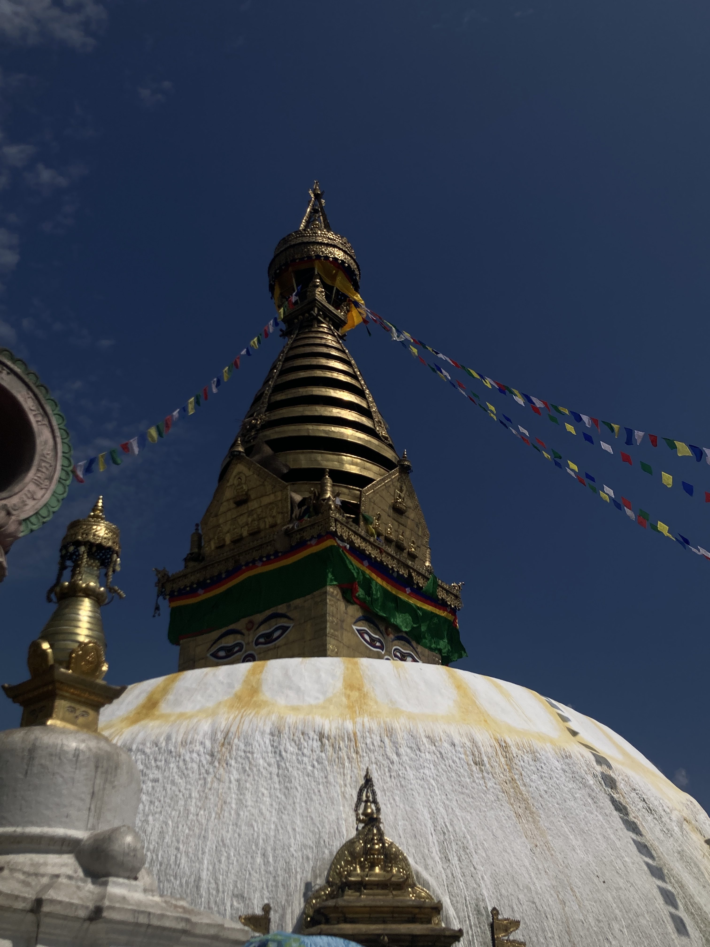 WordPress photo 552681b2cf | WordPress.org