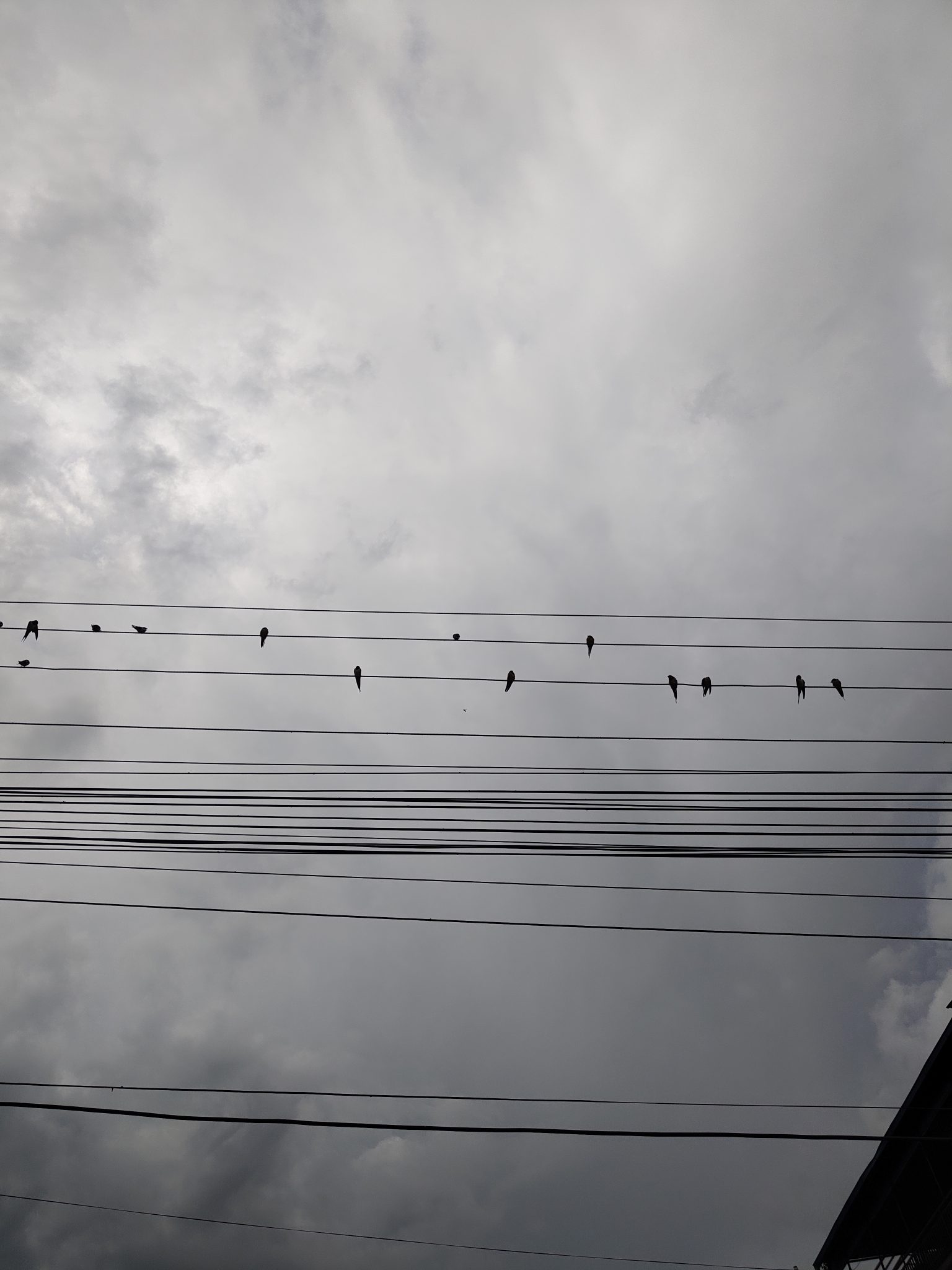 WordPress photo 322687fb08 | WordPress.org