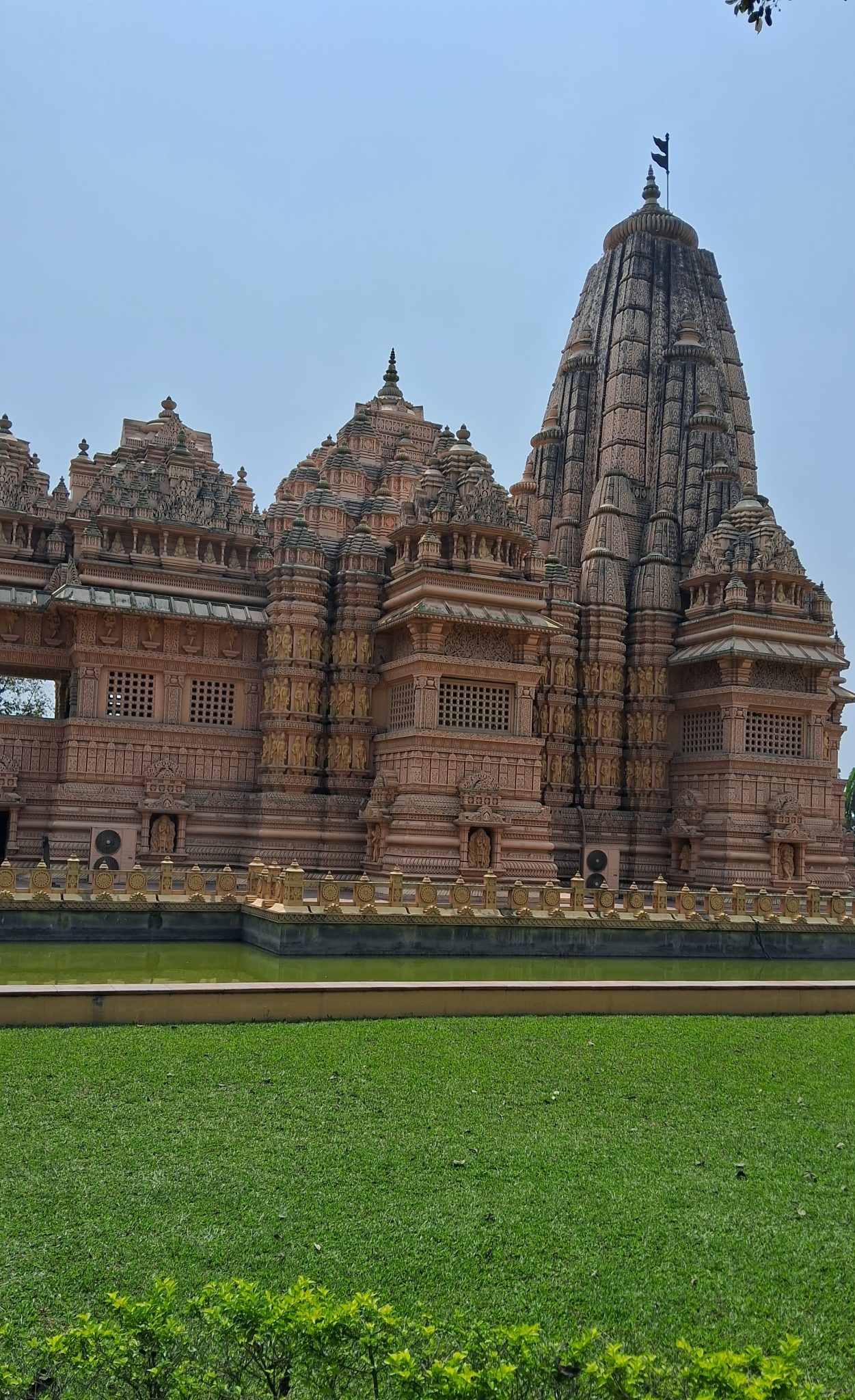 WordPress photo 600686d3bc | WordPress.org