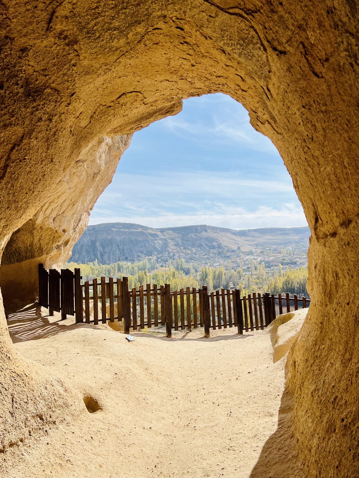 WordPress photo 127688f7ae | WordPress.org