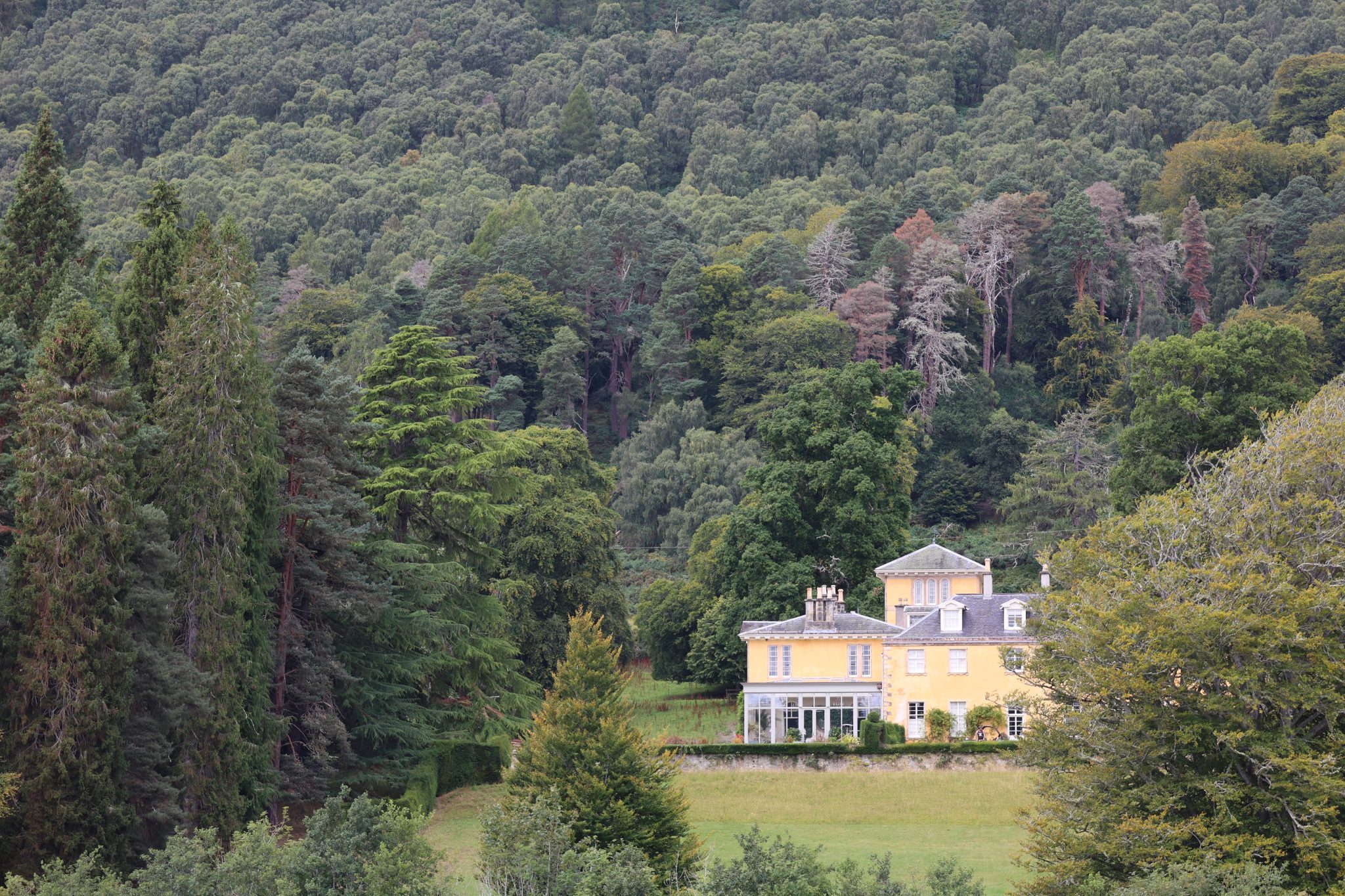 WordPress photo 36468b17f0 | WordPress.org