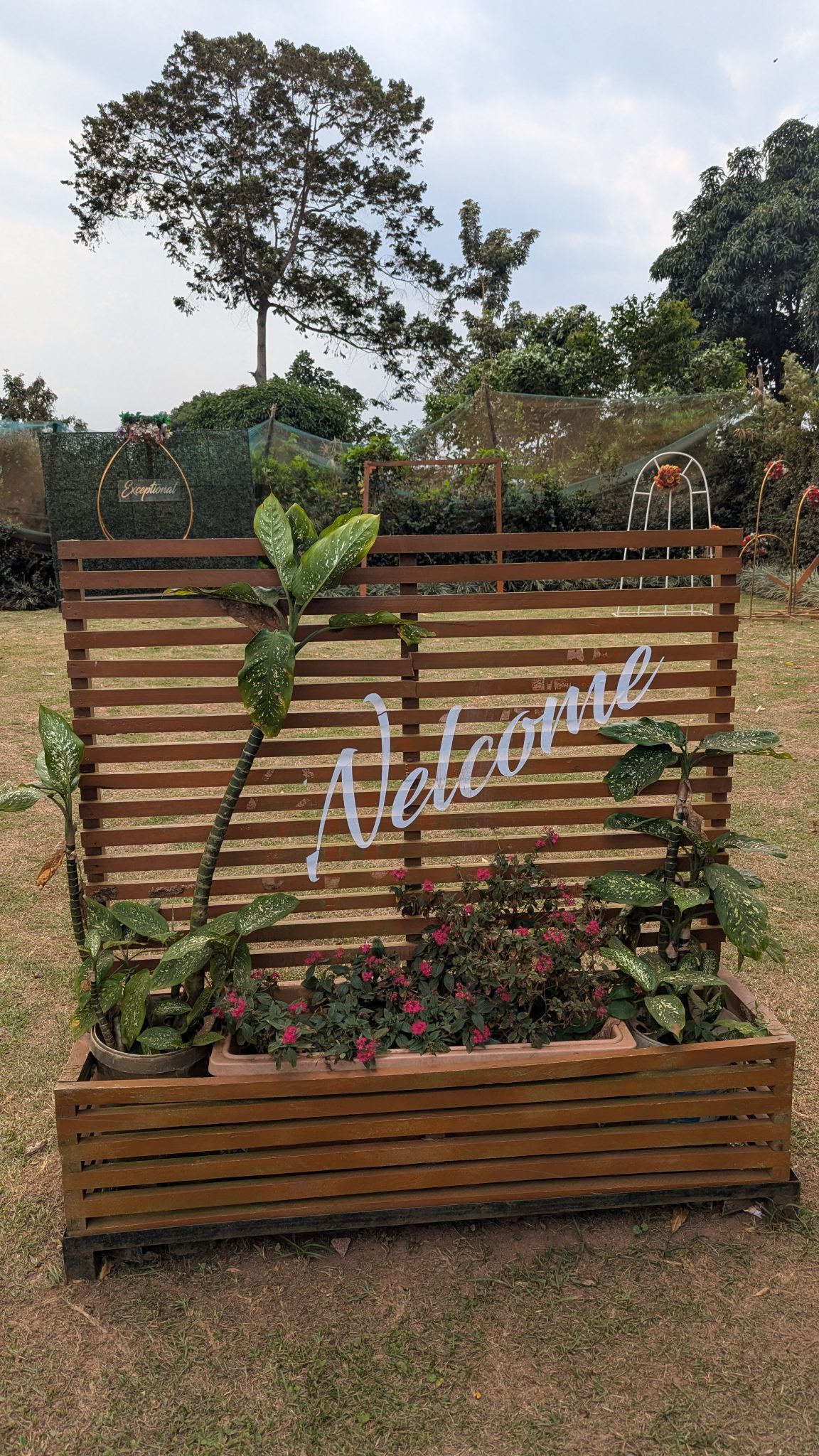 WordPress photo 927688df7e | WordPress.org