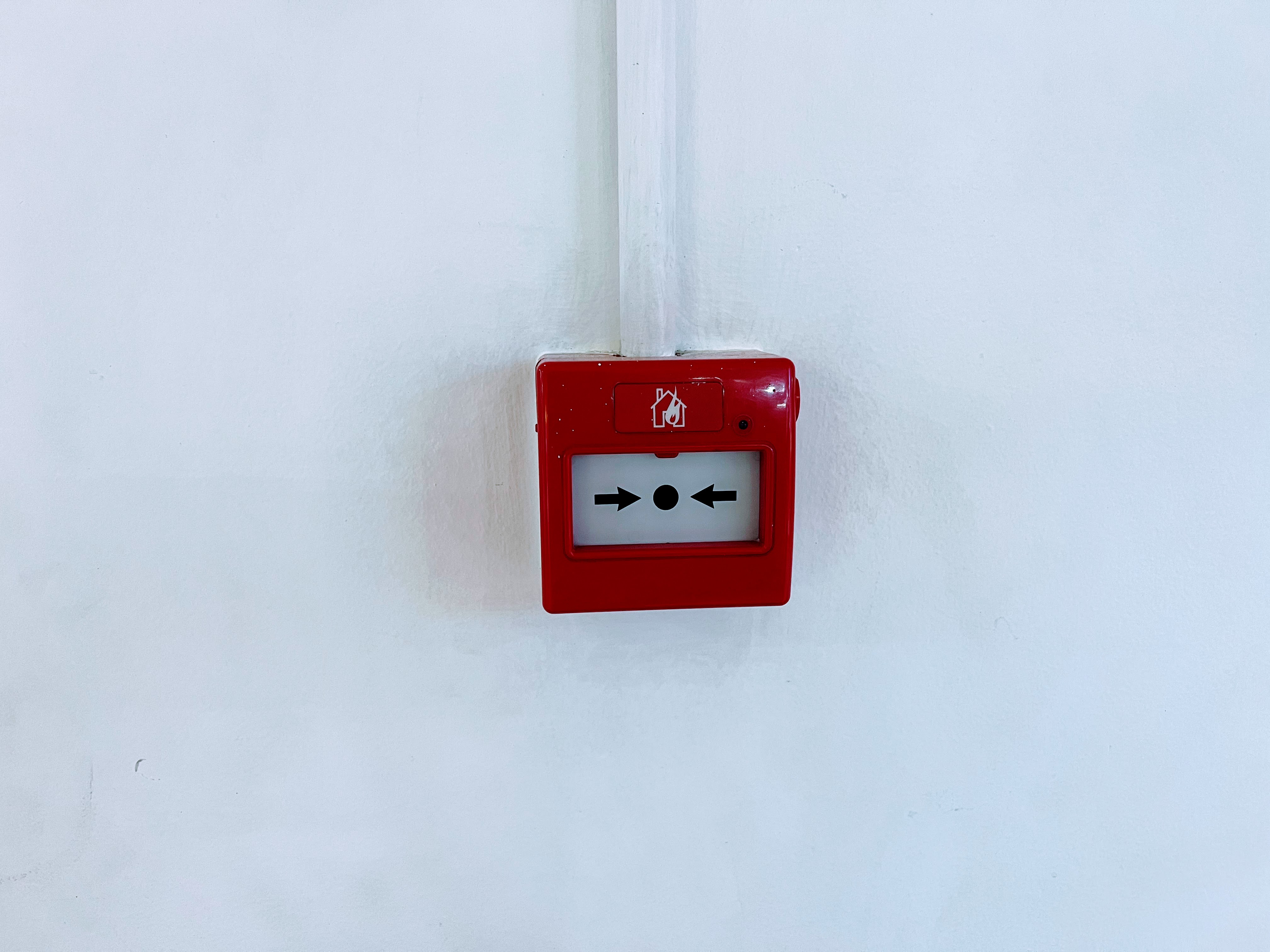 WordPress photo 77168db8cb | WordPress.org