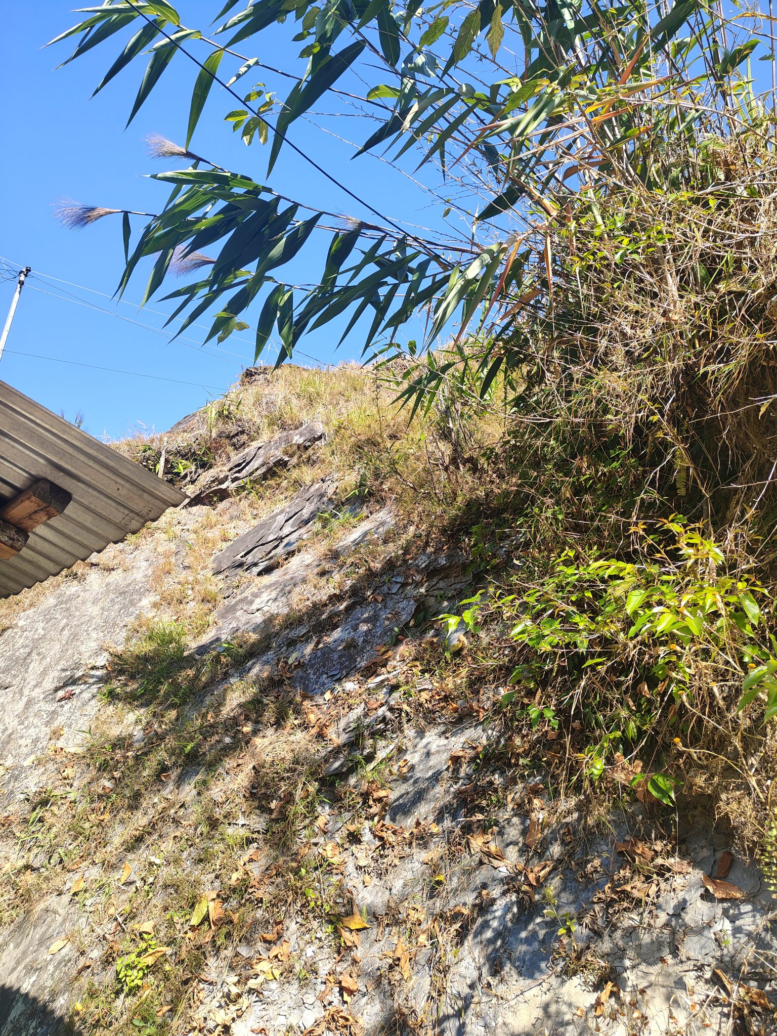 WordPress photo 8136938ec7 | WordPress.org